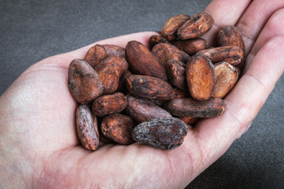 5 Surprising Benefits of Cocoa Butter for Hair + How to Use It